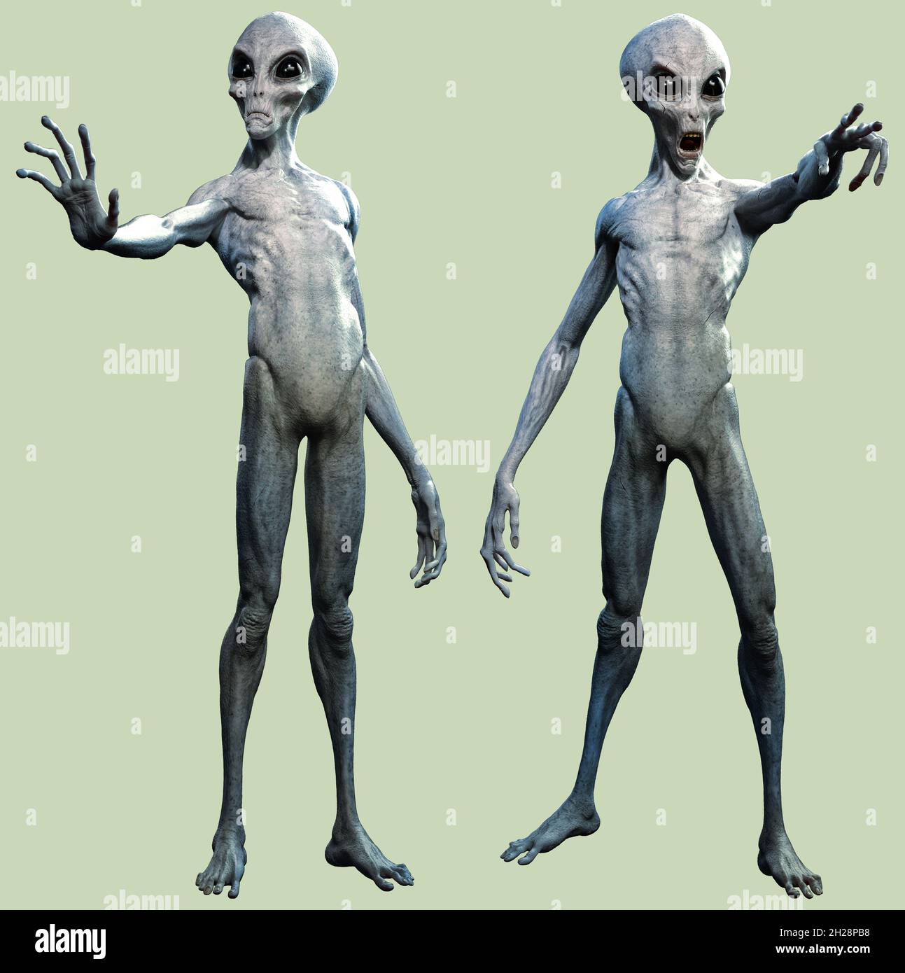 Grey Alien Full Body