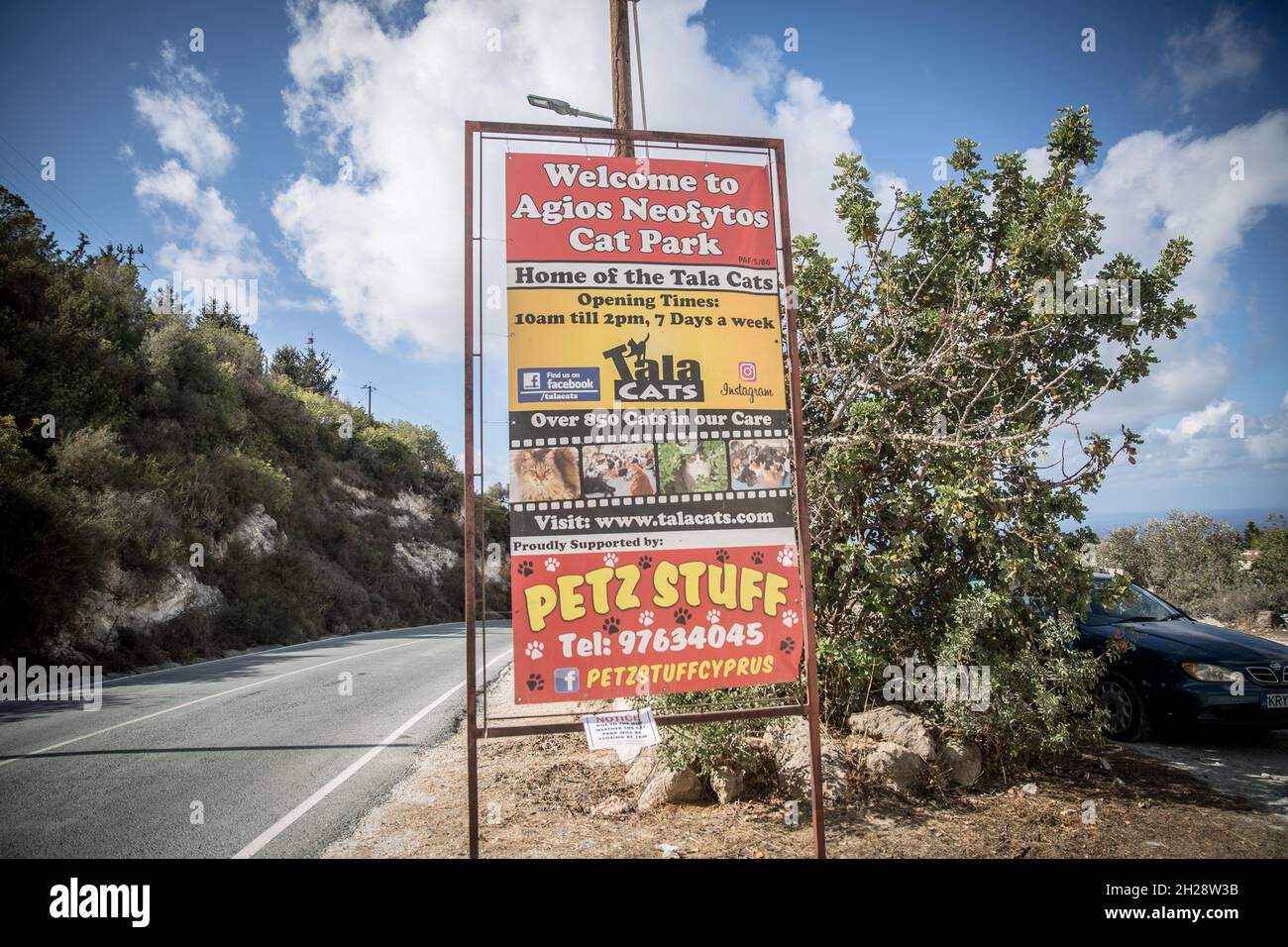 Tala cat park hi-res stock photography and images - Alamy