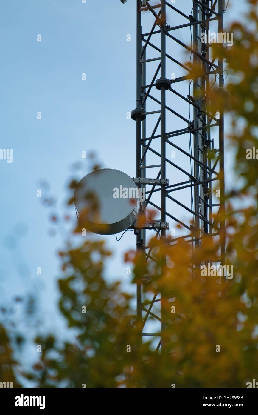 Vertical shot of colorful autumn leaves with a transmission tower in ...
