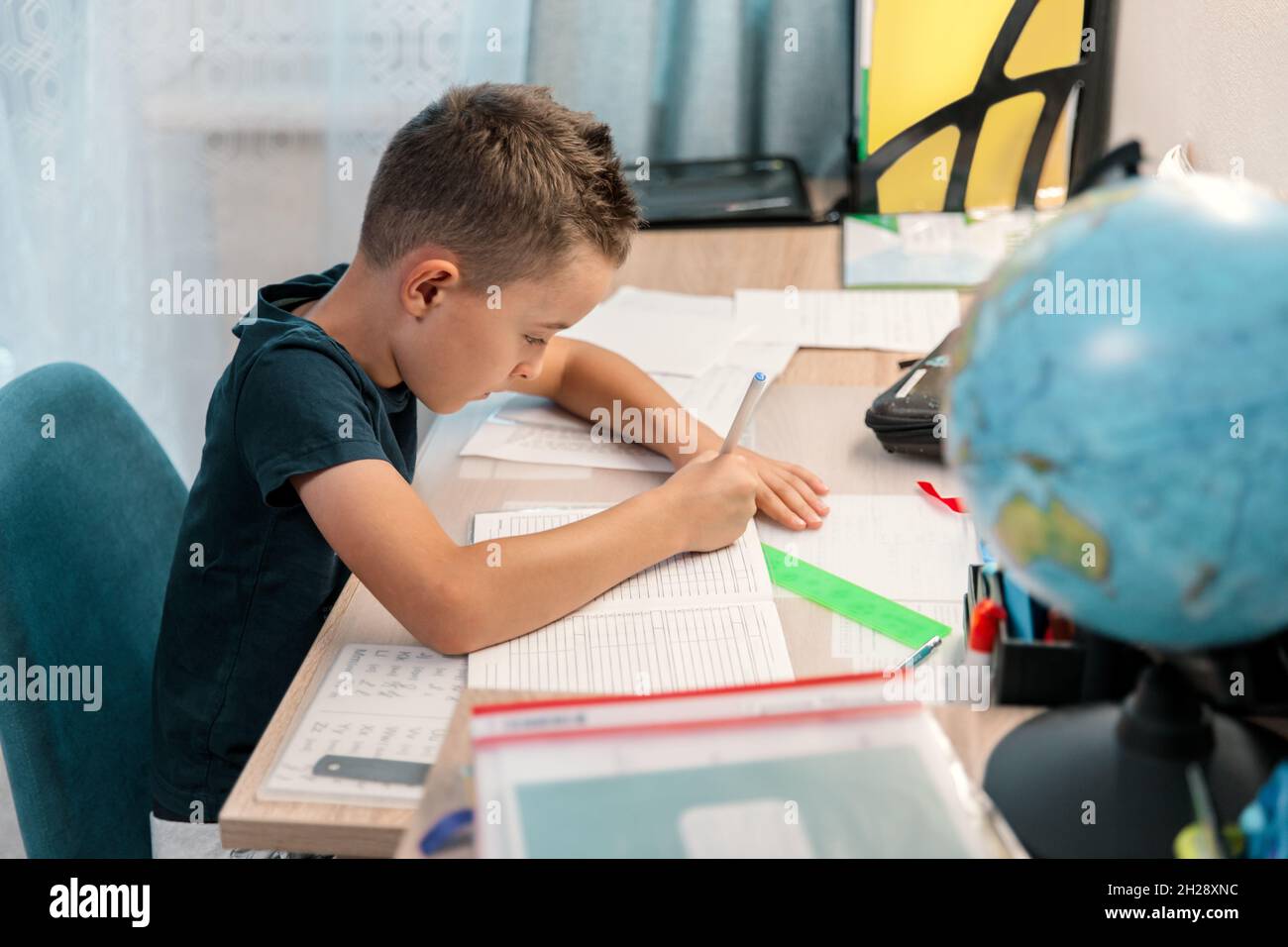 The boy is doing his homework. A student fills out a diary. Home ...