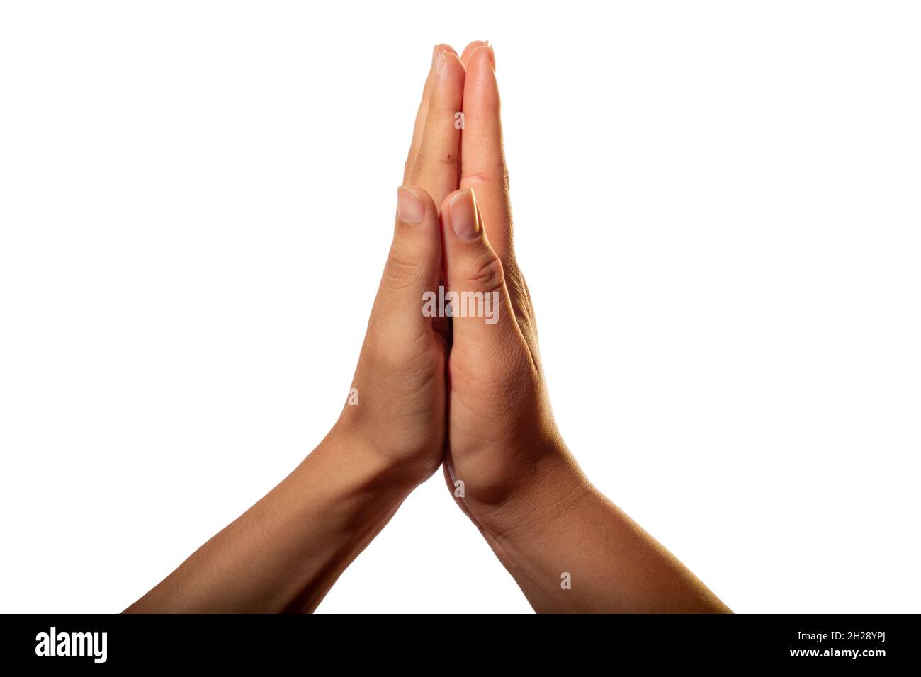 Latin high-fiving hands isolated on white background. Man and woman ...