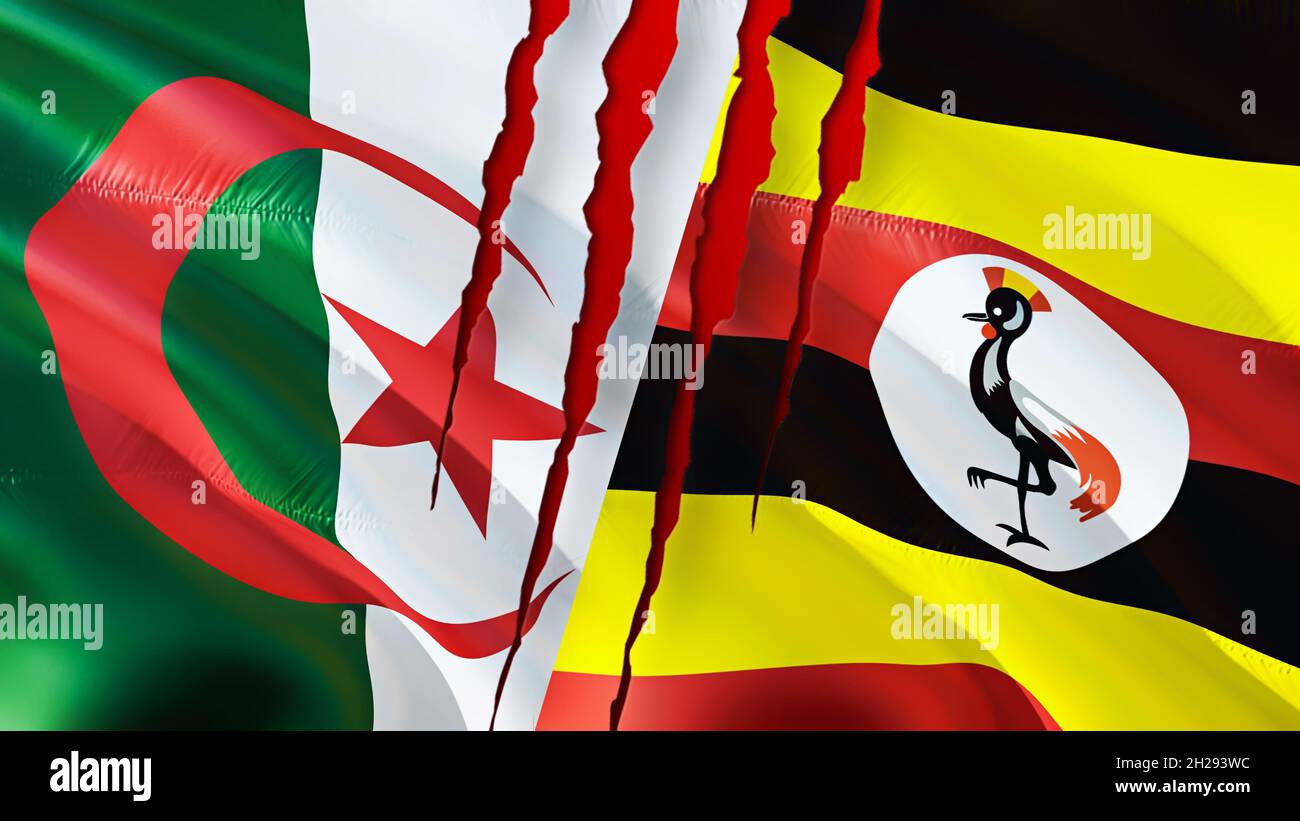 Algeria vs Uganda flag with scar concept. Algeria and Uganda Two flags ...