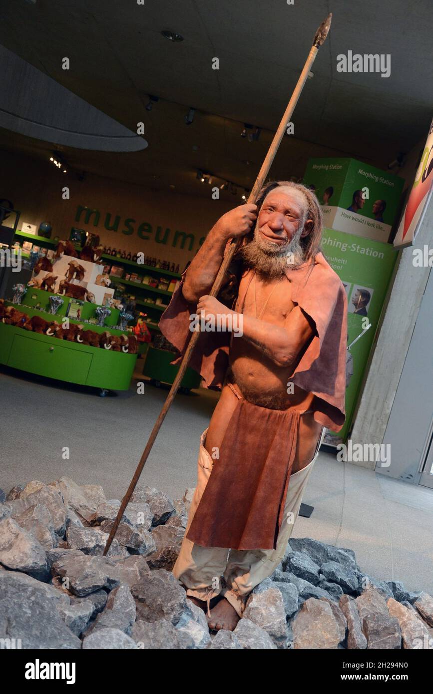 Das Neanderthal Museum ist ein Museum im Neandertal bei Mettmann ...