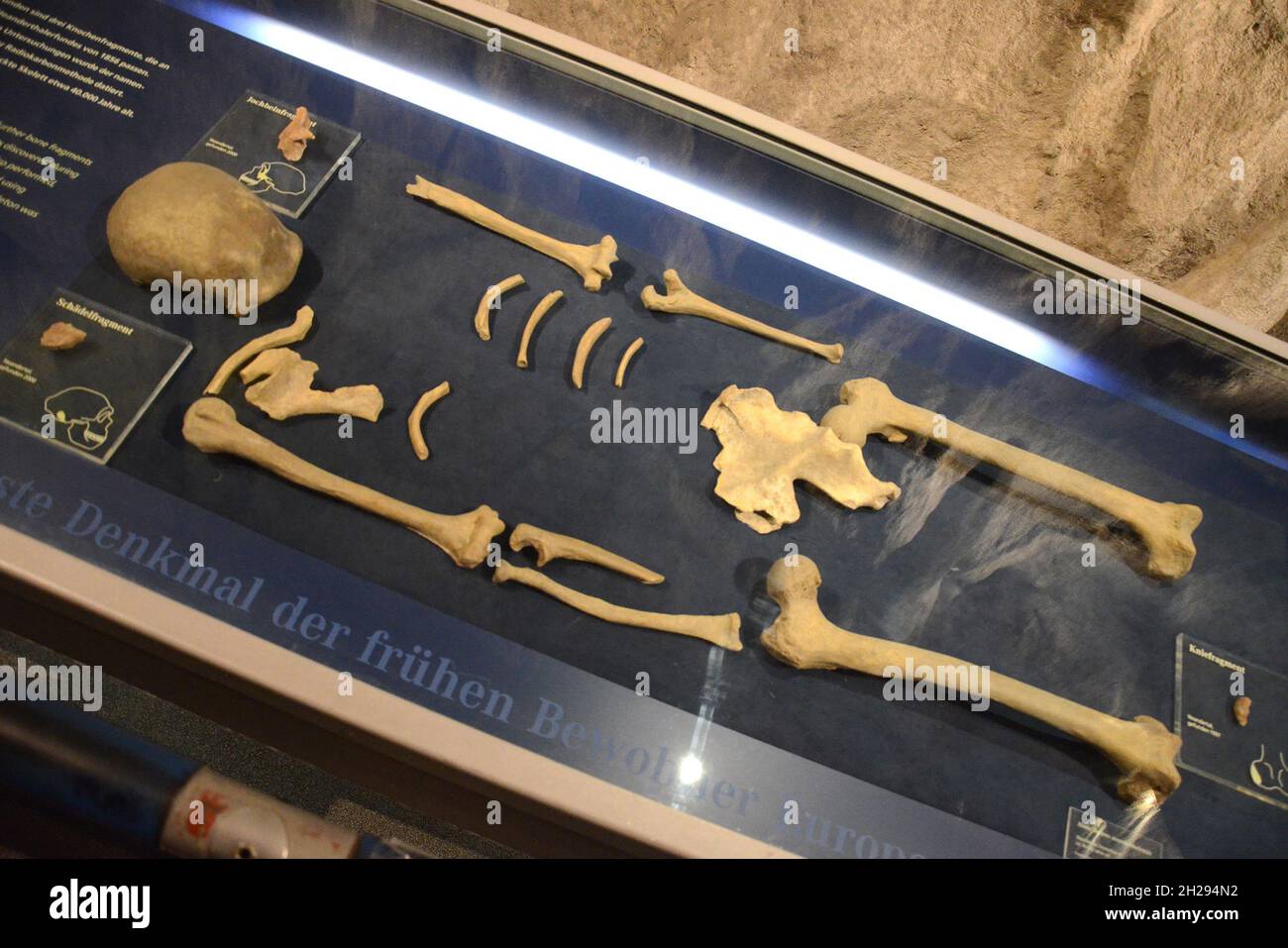 Das Neanderthal Museum ist ein Museum im Neandertal bei Mettmann ...