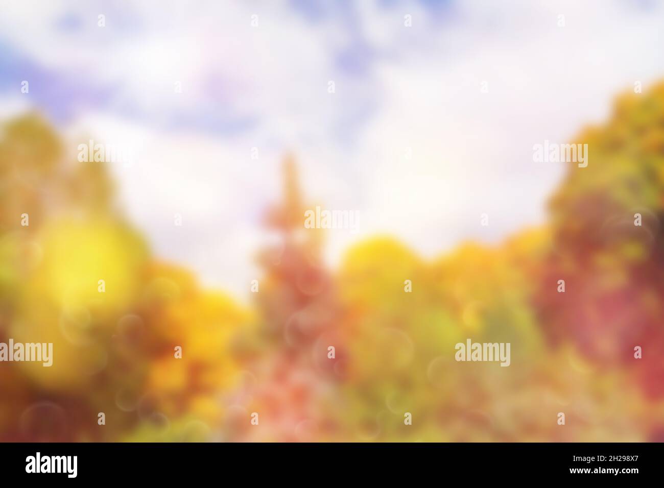 Blurred colorful autumn background. Defocused natural yellow tree background with sun beams ...