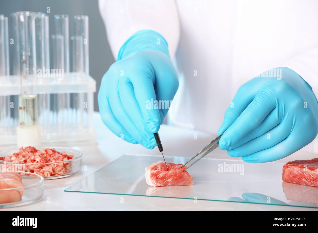 Laboratory meat sample woman hi-res stock photography and images - Alamy
