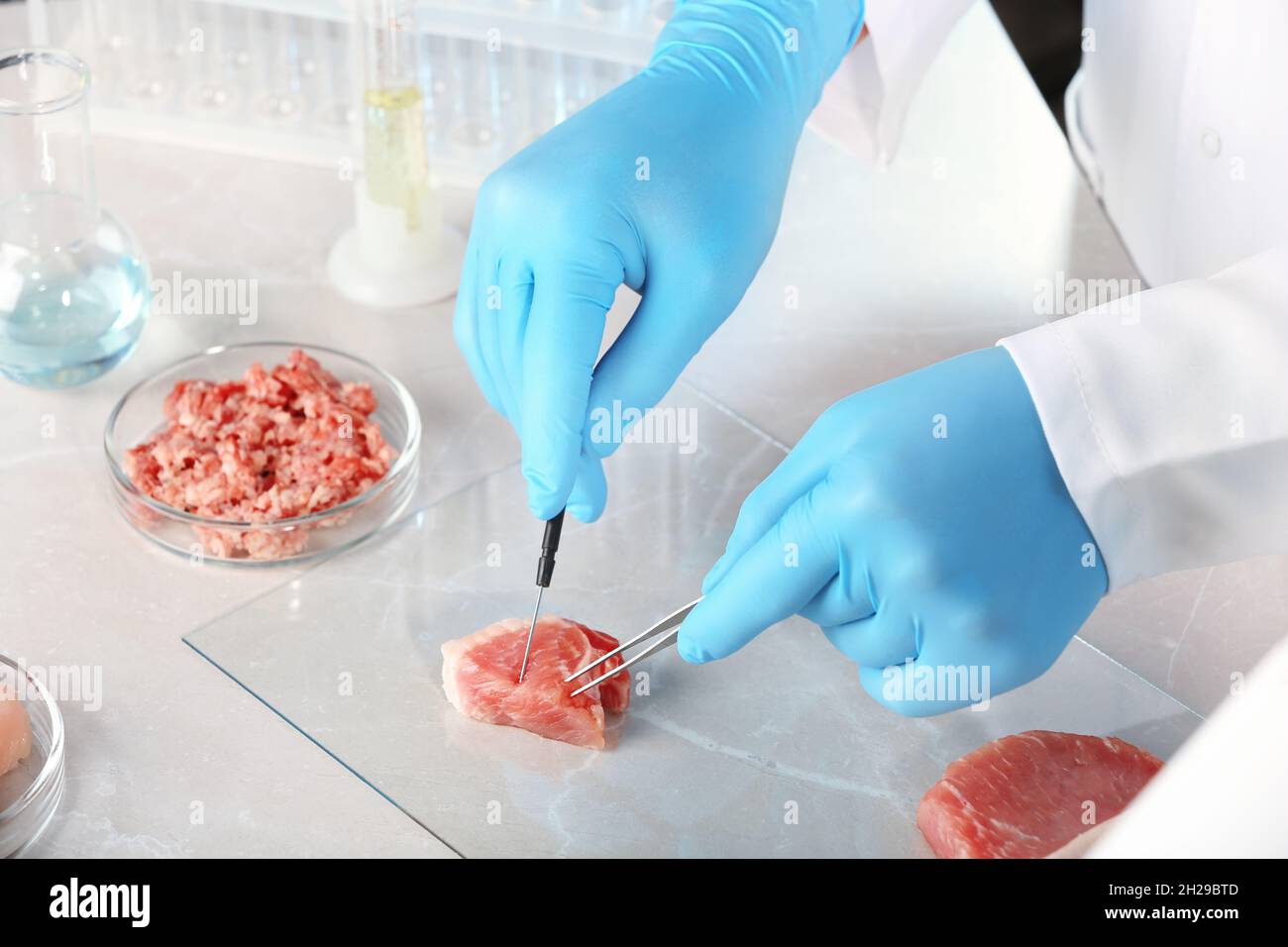Scientist inspecting meat sample on table, closeup. Food quality ...