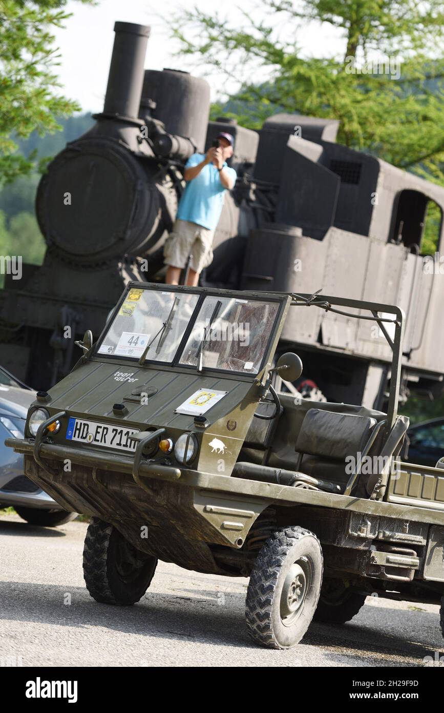 Treffen von Steyr-Puch Haflinger Geländewagen in Bad Ischl, Österreich ...