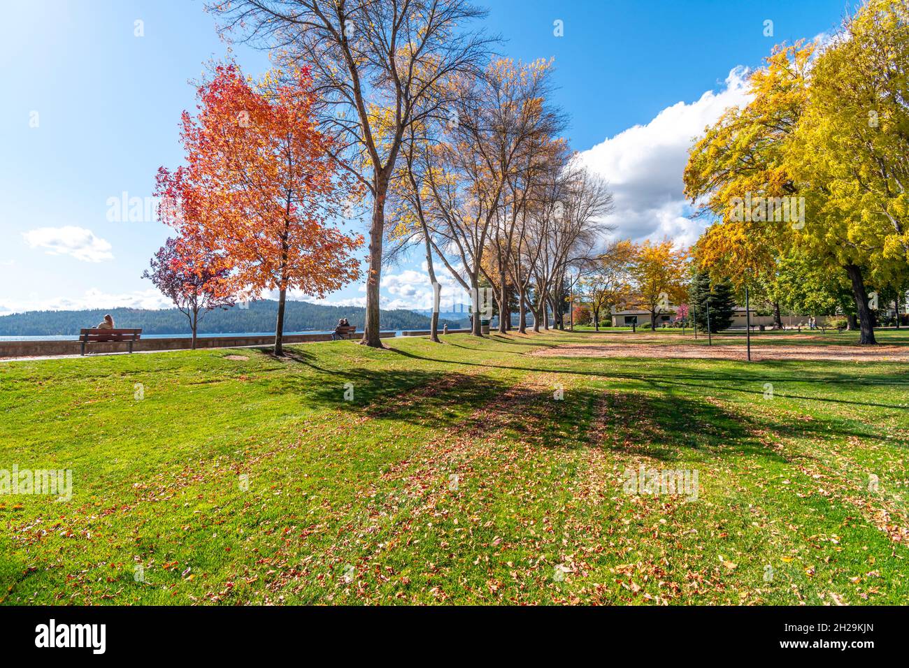 Autumn fall colors on the trees at the City Park along the lake and ...