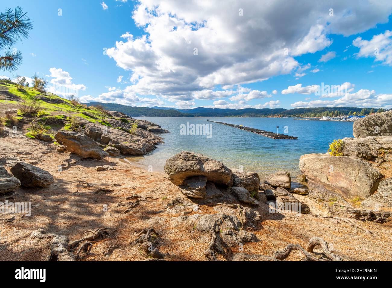 View from the lower hiking trail on Tubbs Hill reserve of the lake and ...