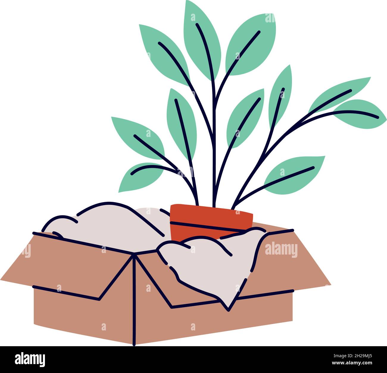 box with plant Stock Vector Image & Art - Alamy