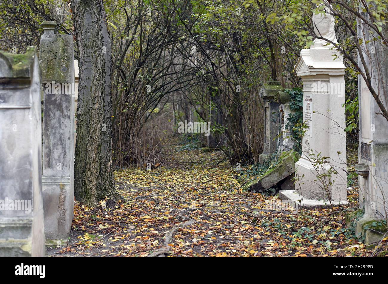 Saint marxer cemetery hi-res stock photography and images - Alamy
