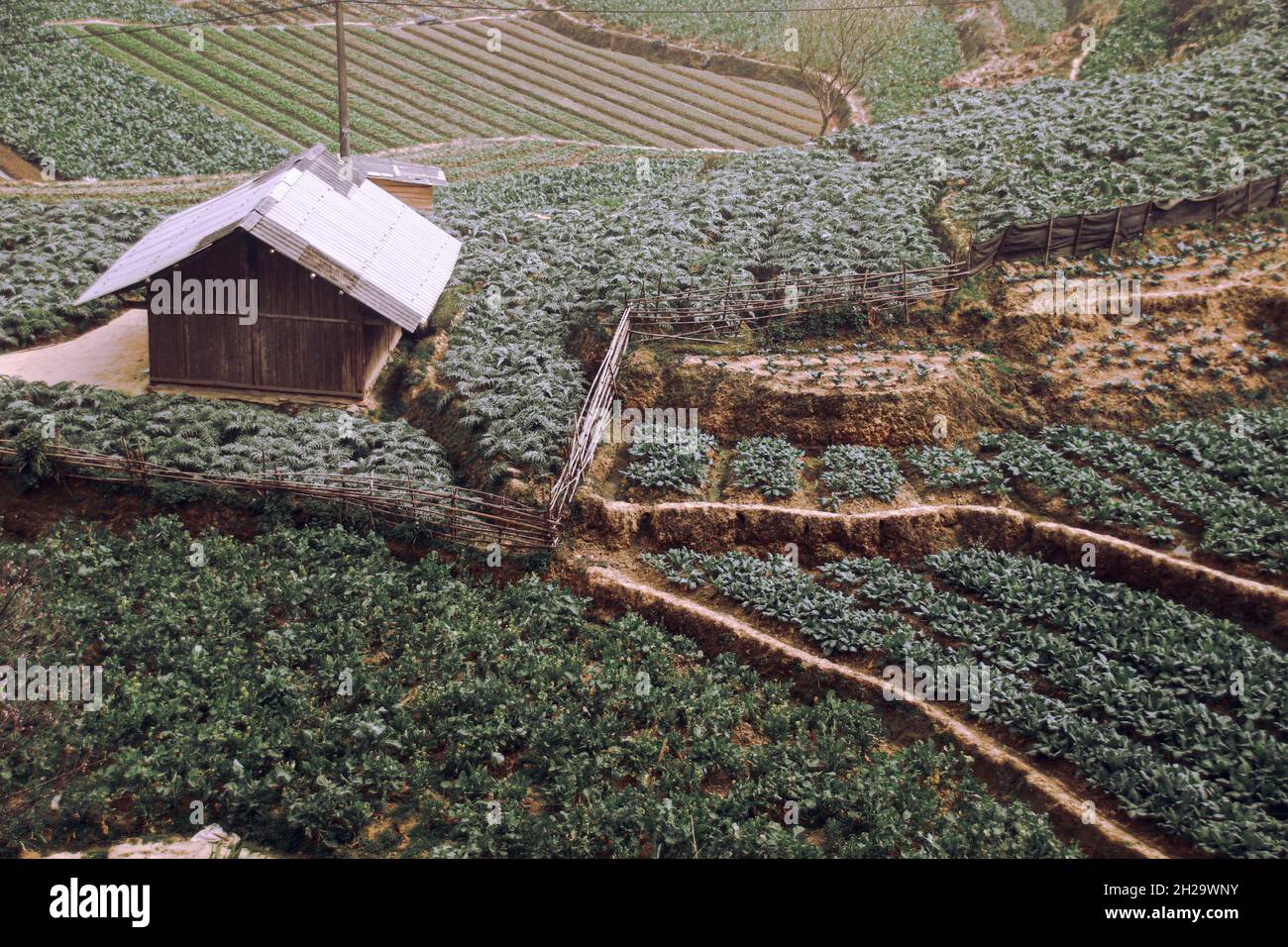 Small wooden hut in an agricultural field Stock Photo - Alamy