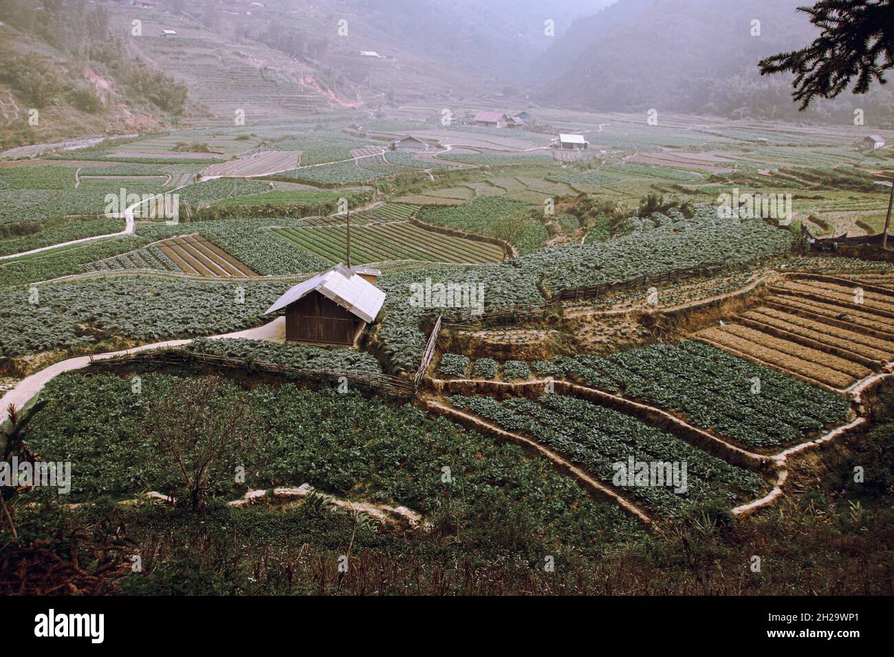 Small wooden hut in an agricultural field Stock Photo - Alamy