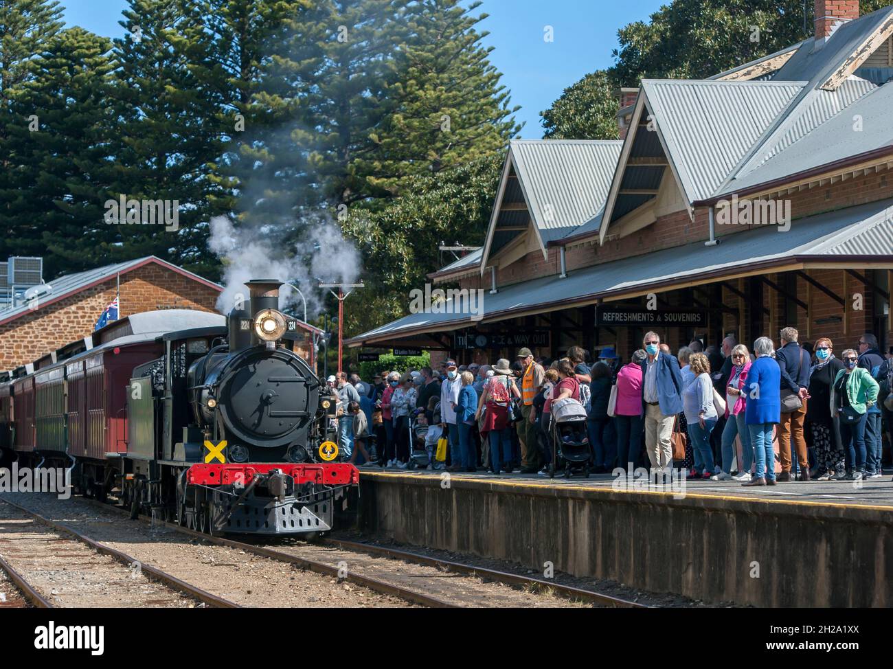 The Cockle Train driven by Engine RX 224, a 1915 built steam locomotive ...