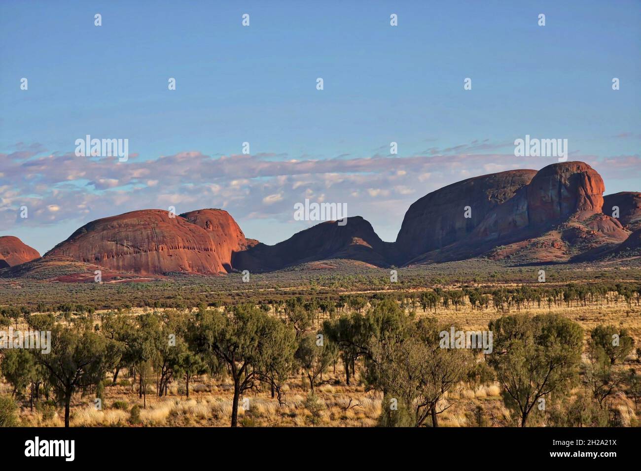 Landscape of Kata Tjuta surrounded by trees under the sunlight in ...