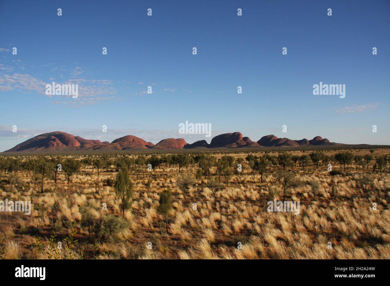 Landscape of Kata Tjuta surrounded by trees under the sunlight in ...