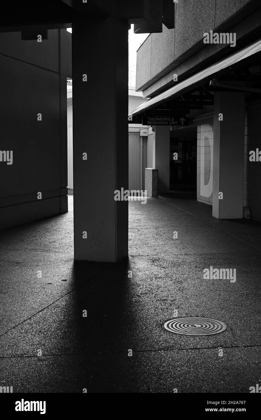 Grayscale of a narrow corridor between buildings Stock Photo - Alamy