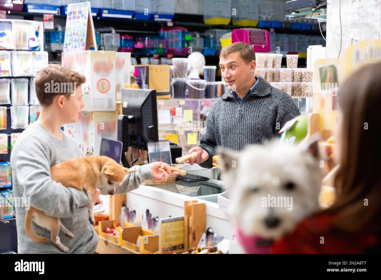 Male seller communicates with buyer as teenager in pet store Stock ...