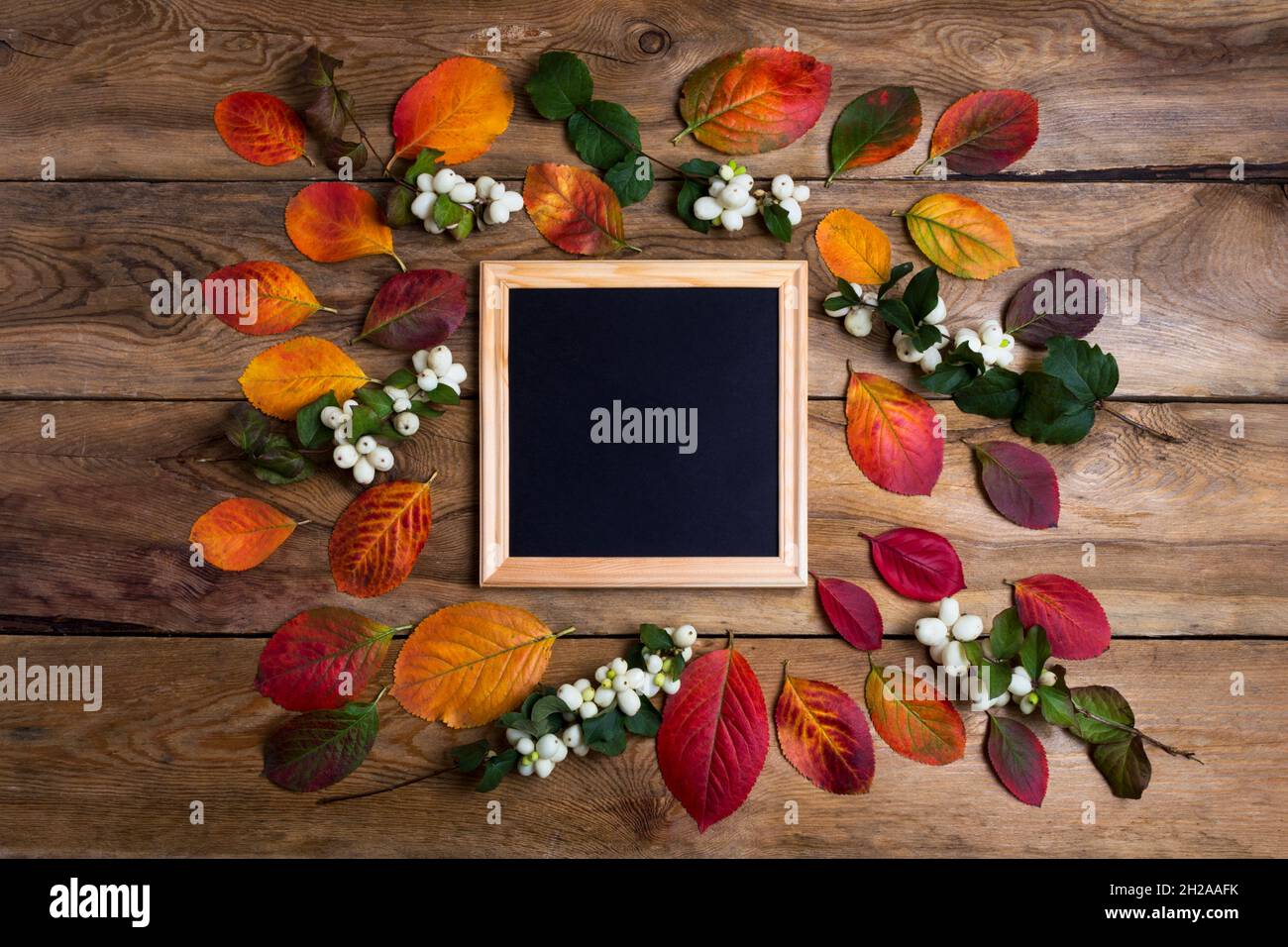 Square wooden frame mockup with fall leaves and ghostberries. Empty ...