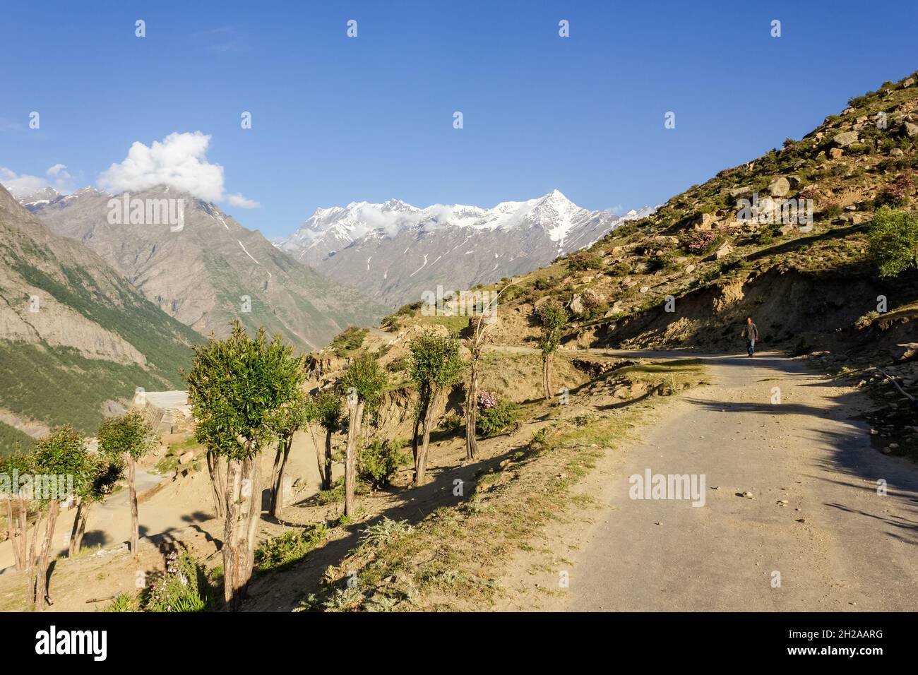 KEYLONG, INDIA - Oct 09, 2021: Keylong, Himachal Pradesh, India - July ...
