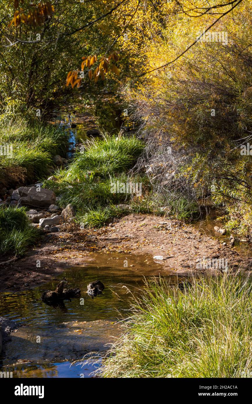 The Santa Fe river flowing through beautiful fall foliage Stock Photo ...