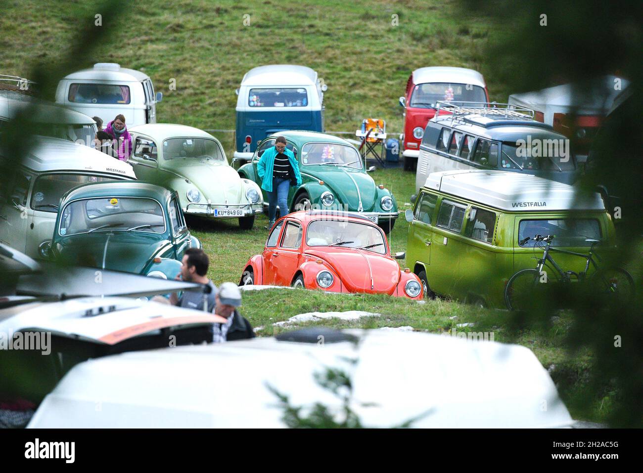 VW-Klassiker auf der Postalm (Salzburg, Österreich) - Jedes Jahr im ...