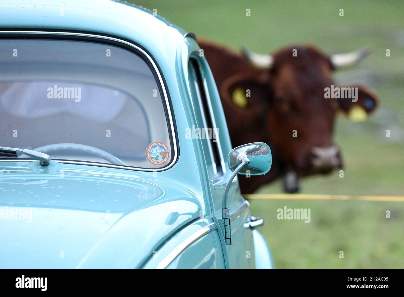 VW-Klassiker auf der Postalm (Salzburg, Österreich) - Jedes Jahr im ...