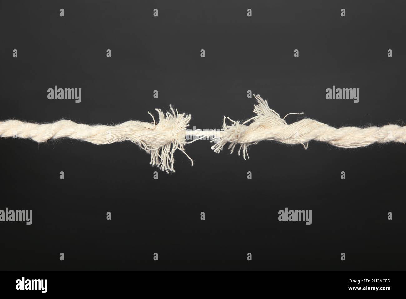 Frayed rope at breaking point on gray background Stock Photo - Alamy