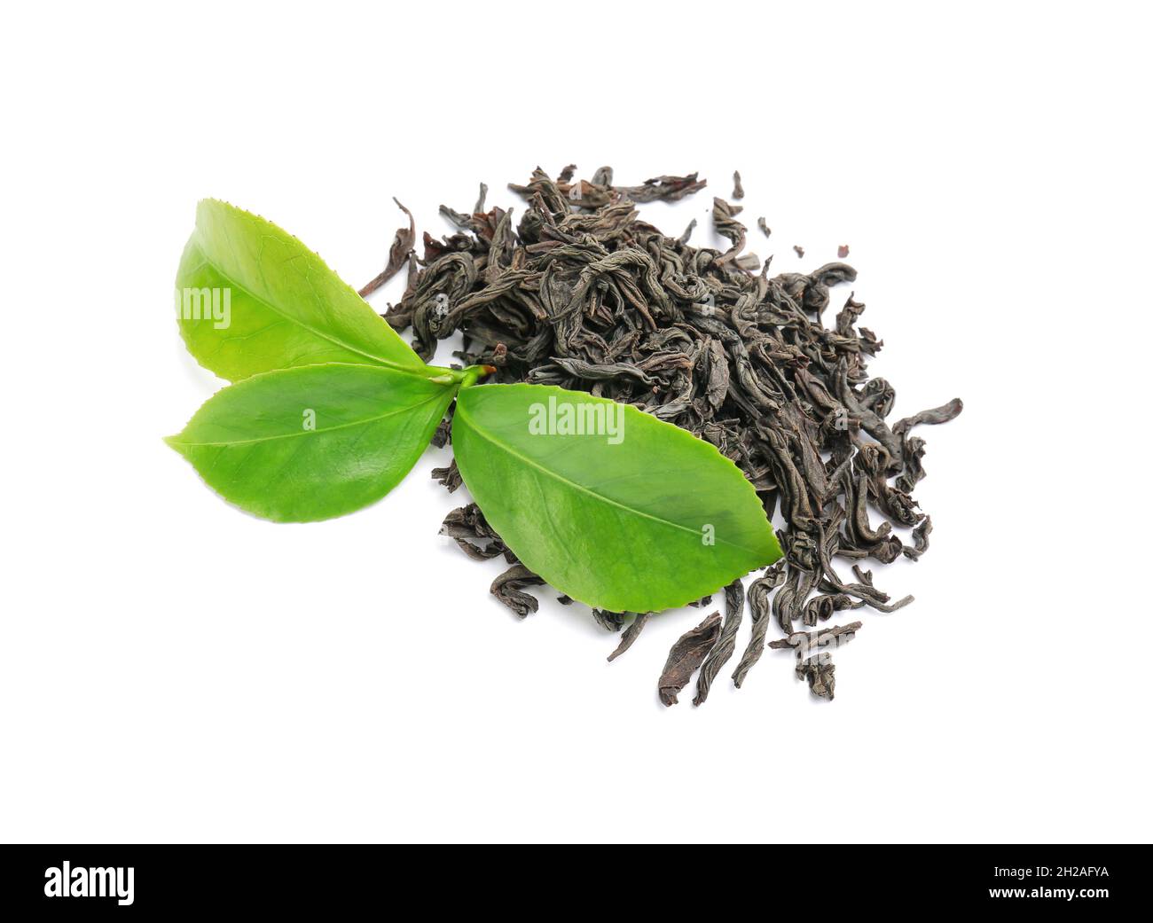 Chinese tea shrub Cut Out Stock Images & Pictures - Alamy