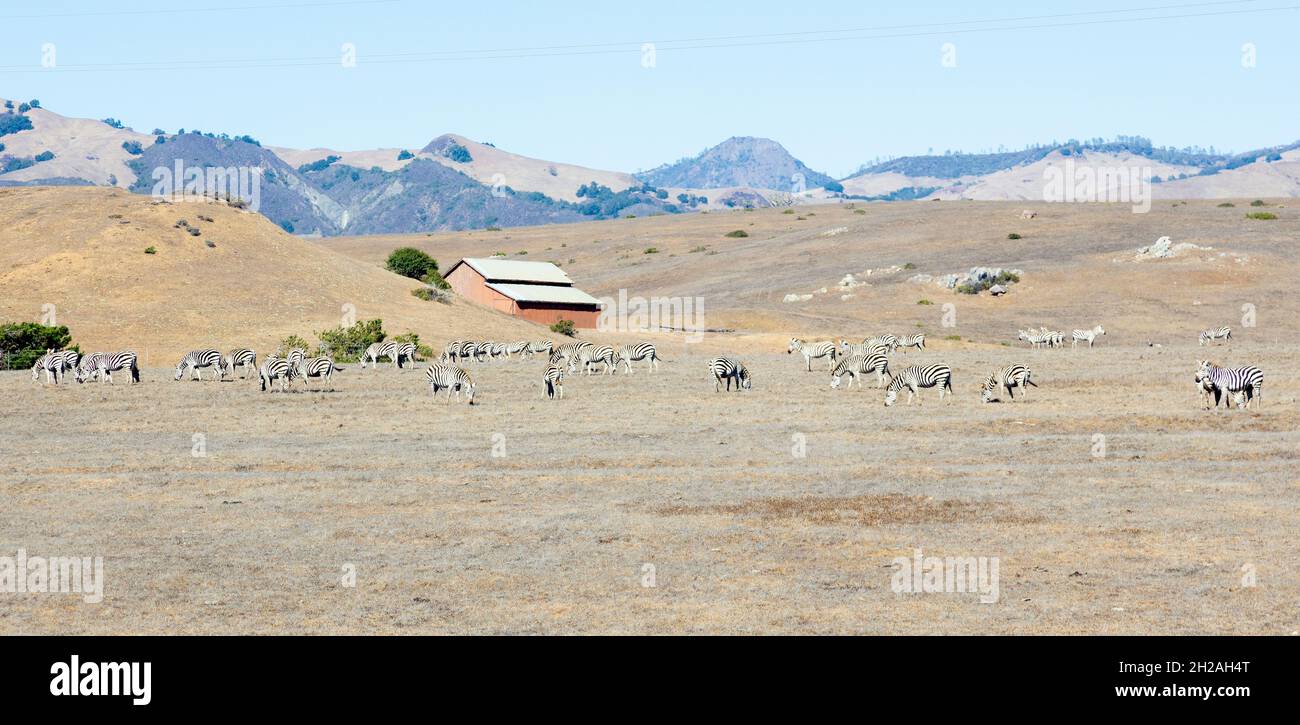Large ranch hi-res stock photography and images - Alamy
