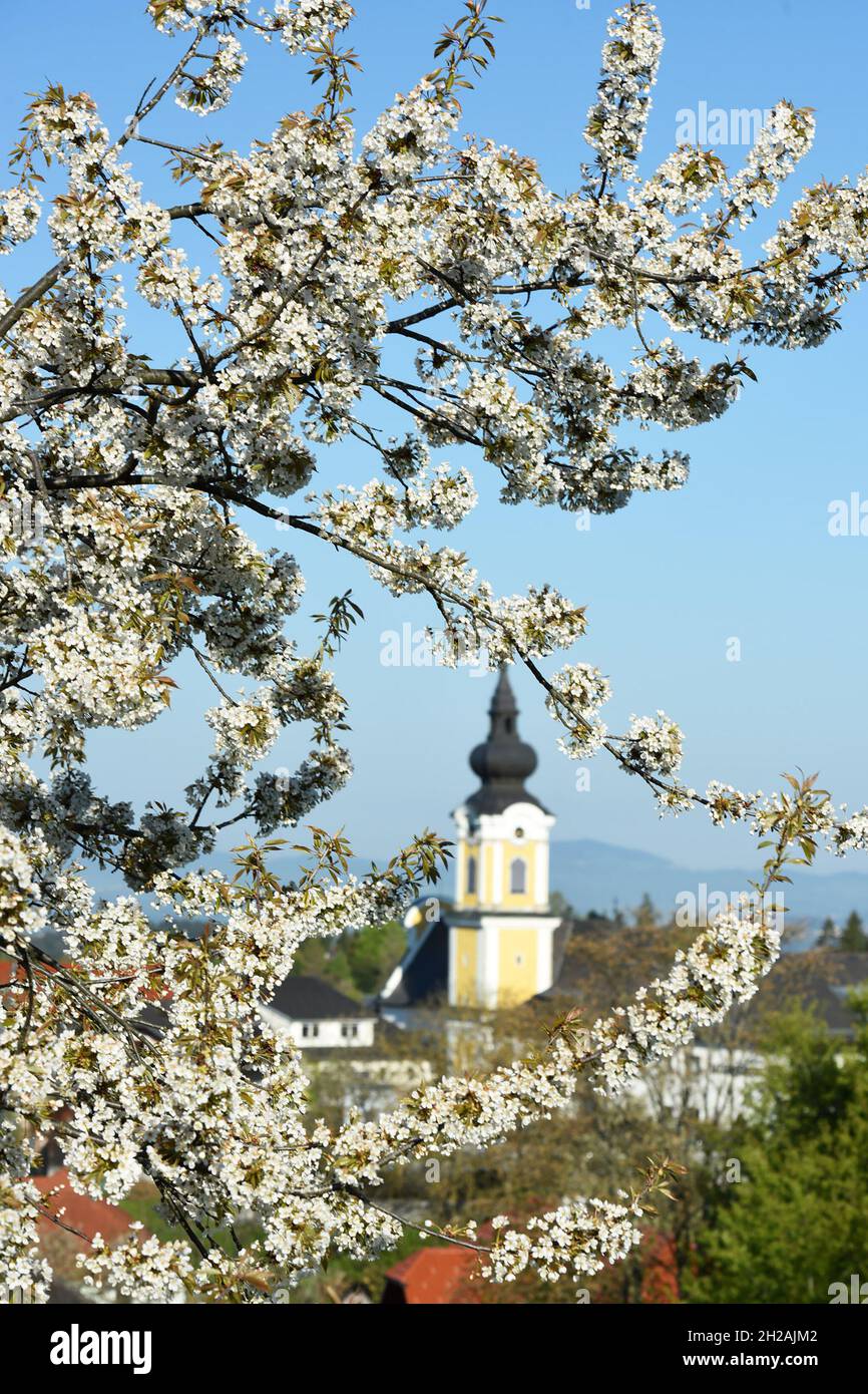 Sankt peter am wimberg hi-res stock photography and images - Alamy