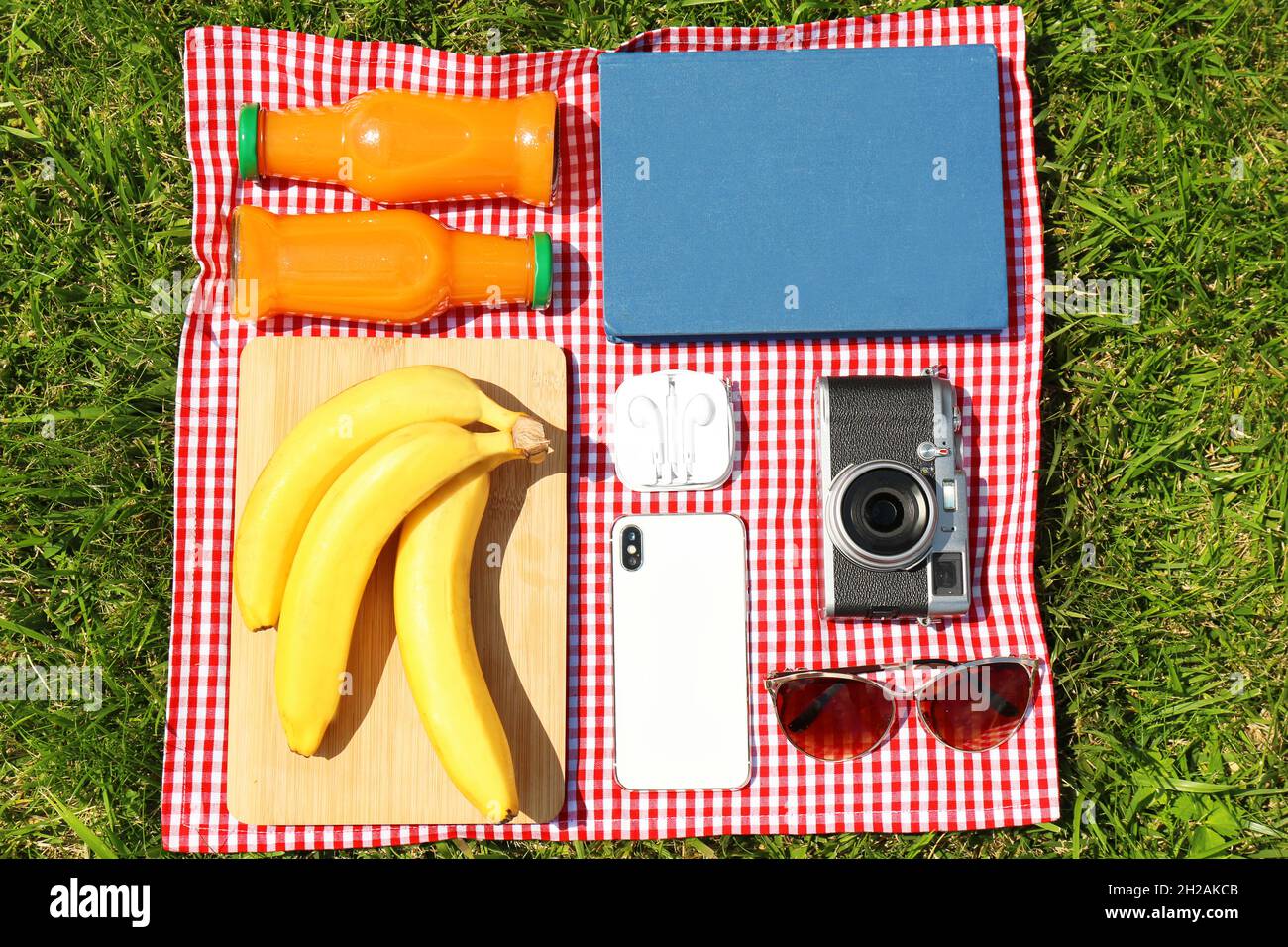 Flat lay composition with food, phone and camera on blanket in park ...