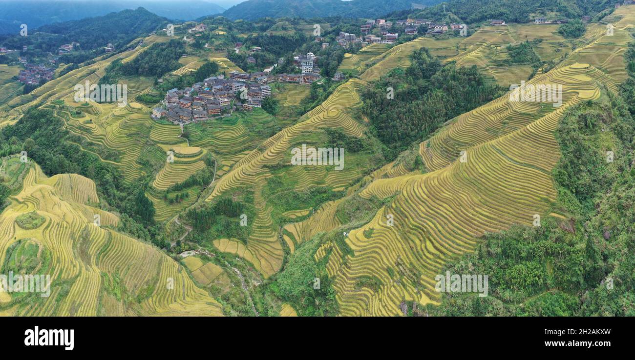 Aerial view of terraces rice fields in Longji Stock Photo - Alamy