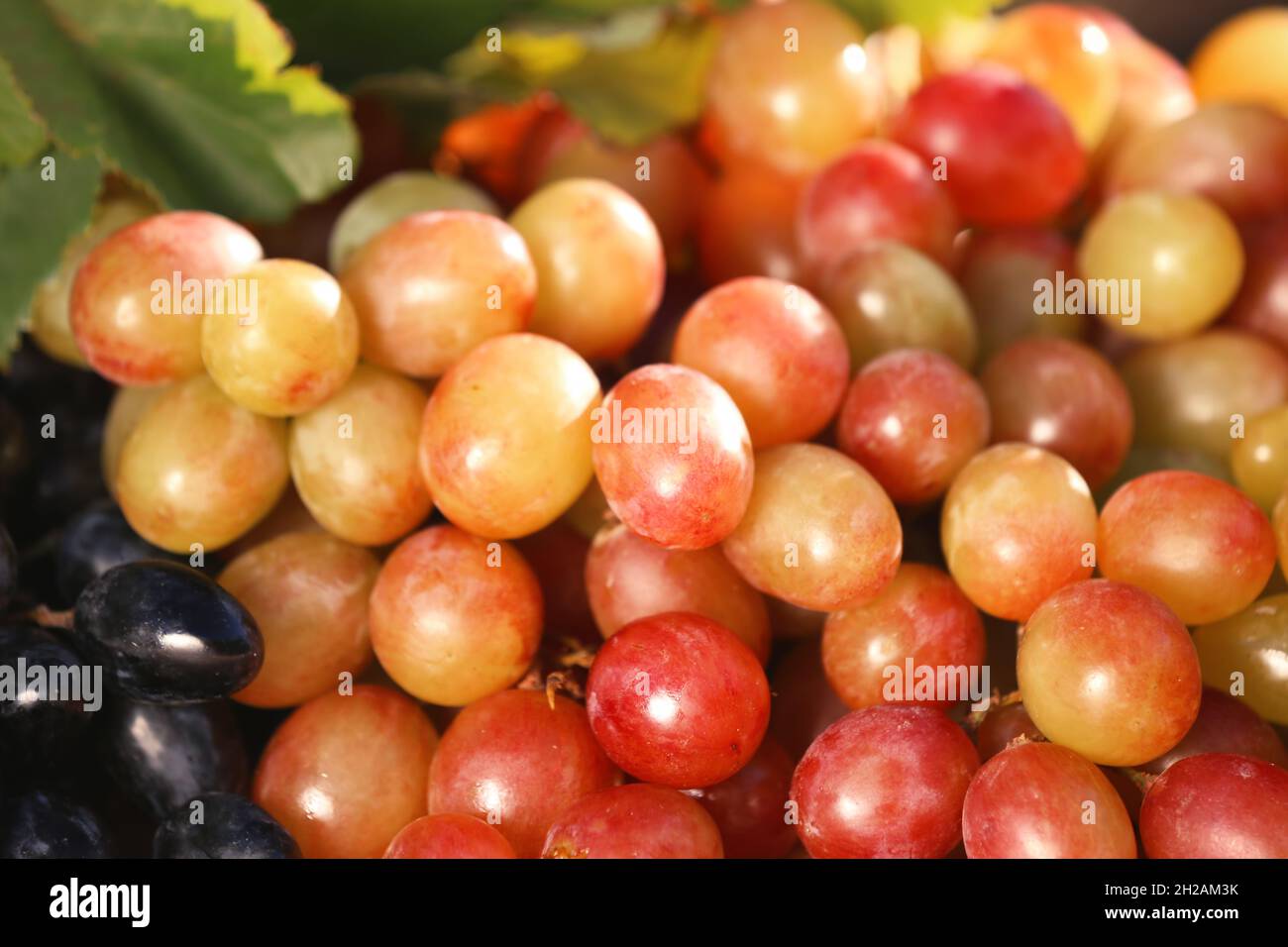 Fresh ripe juicy grapes as background, closeup Stock Photo - Alamy