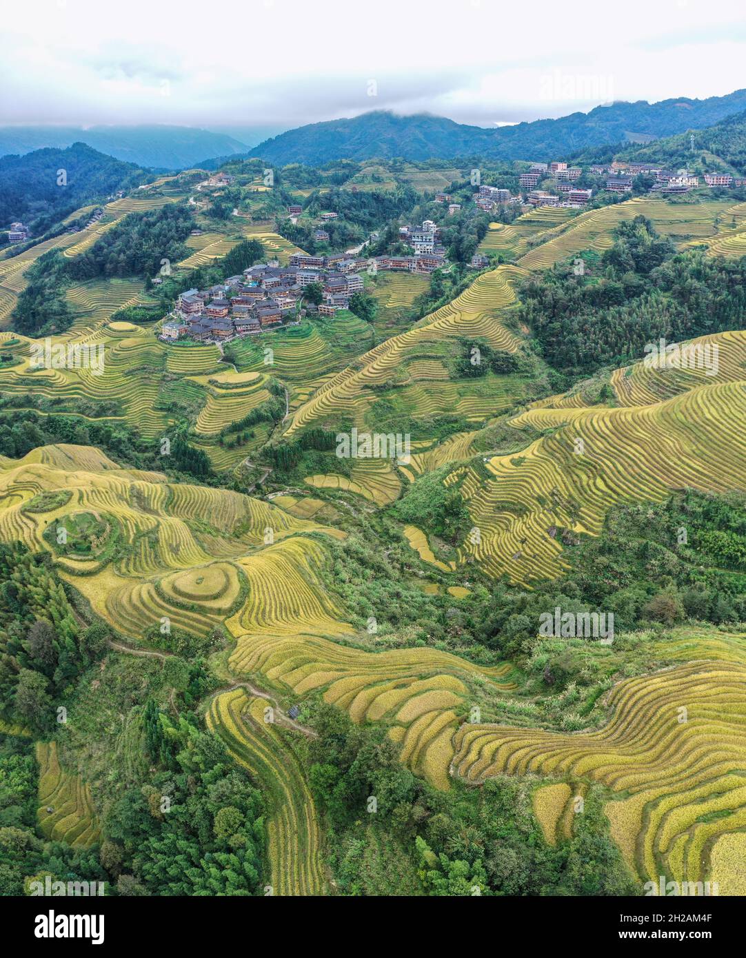 Aerial view of terraces rice fields in Longji Stock Photo - Alamy