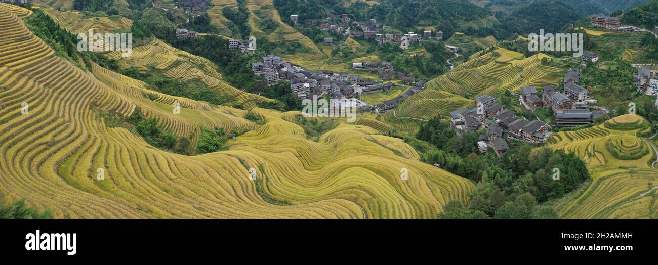 Longji rice fields hi-res stock photography and images - Alamy