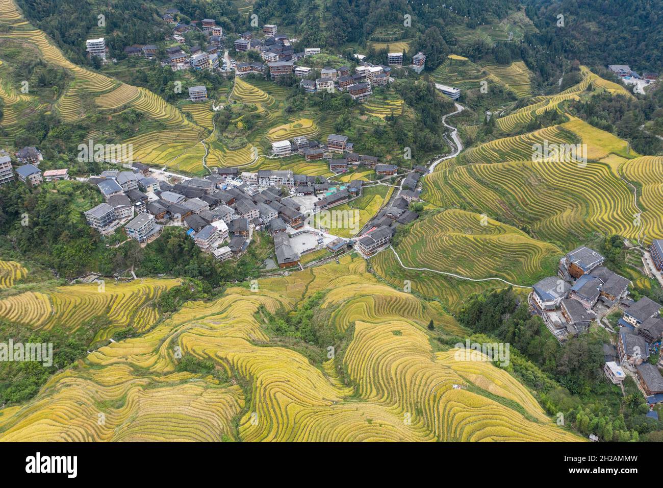 Aerial view of terraces rice fields in Longji Stock Photo - Alamy
