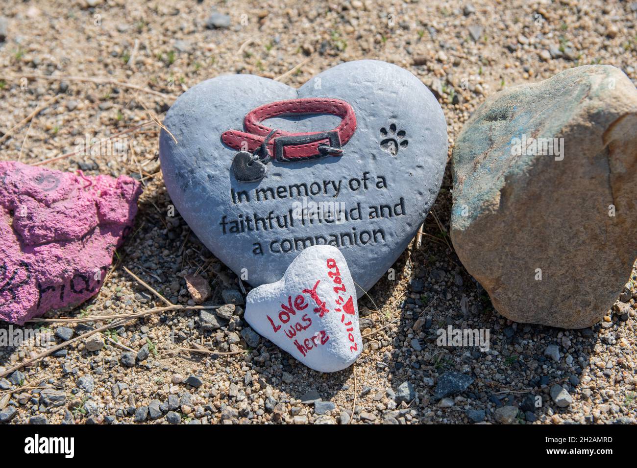 A beautiful different kinds of painted rocks in Lake Elsinore ...