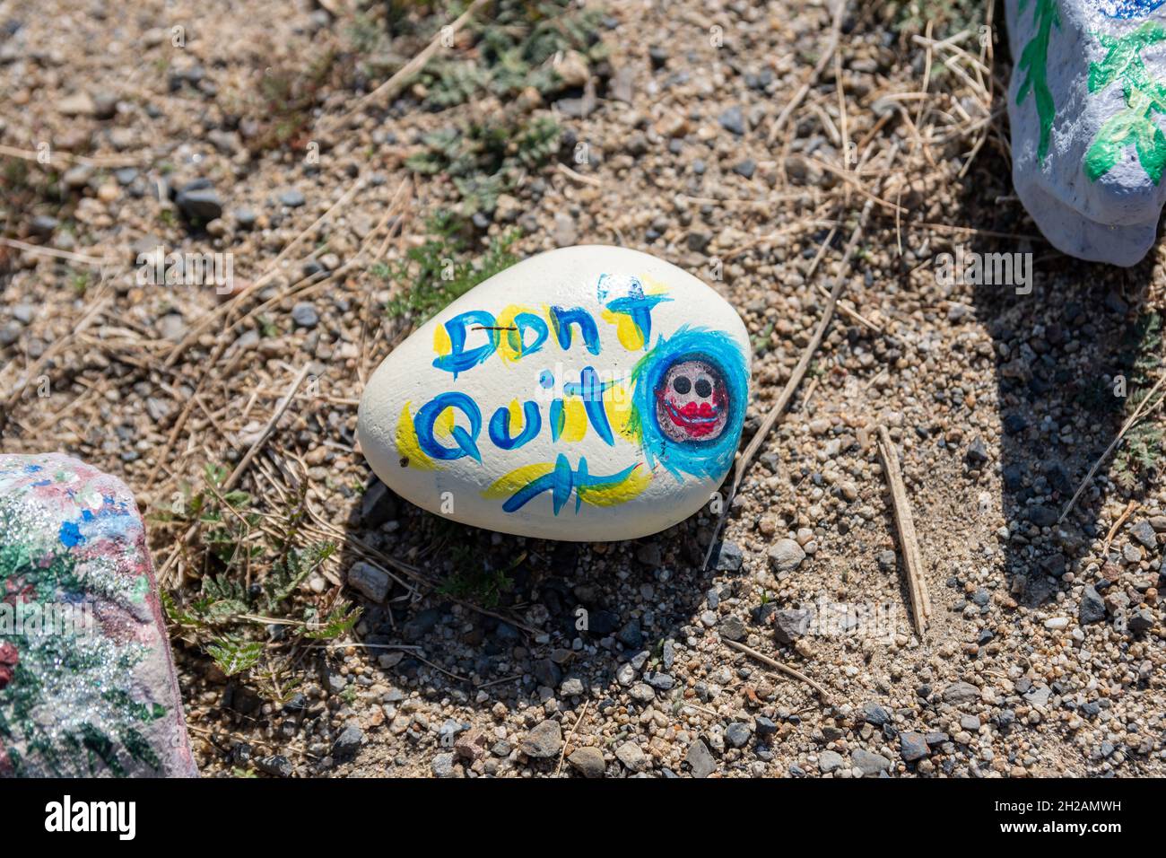A beautiful different kinds of painted rocks in Lake Elsinore ...