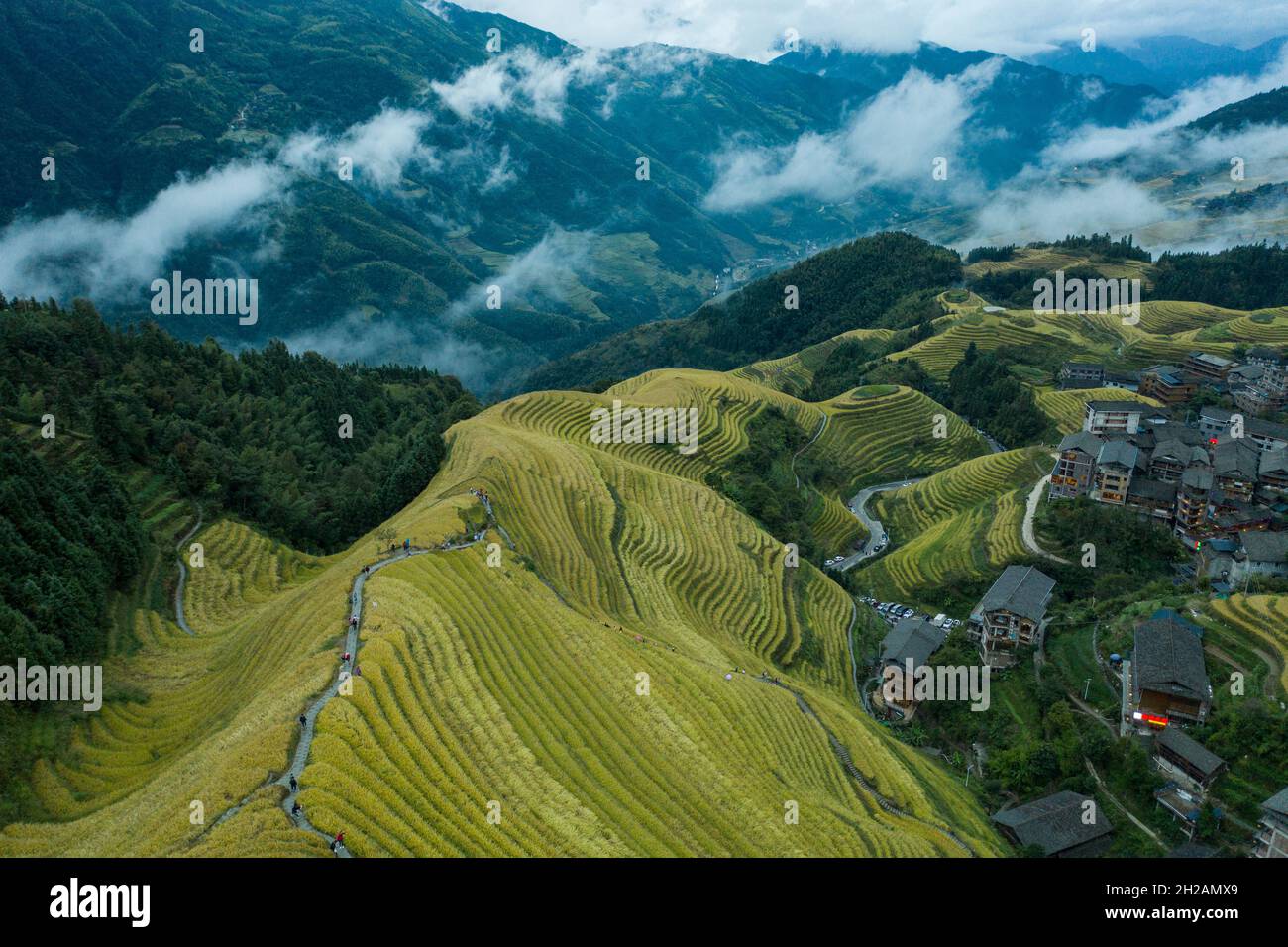 Dragon's back rice terrace in Longji, China Stock Photo - Alamy
