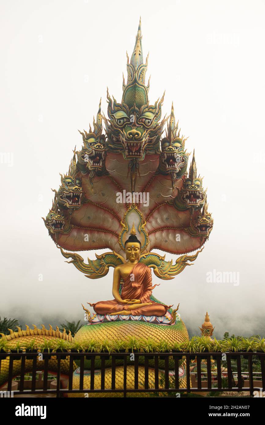 7 headed snake hi-res stock photography and images - Alamy