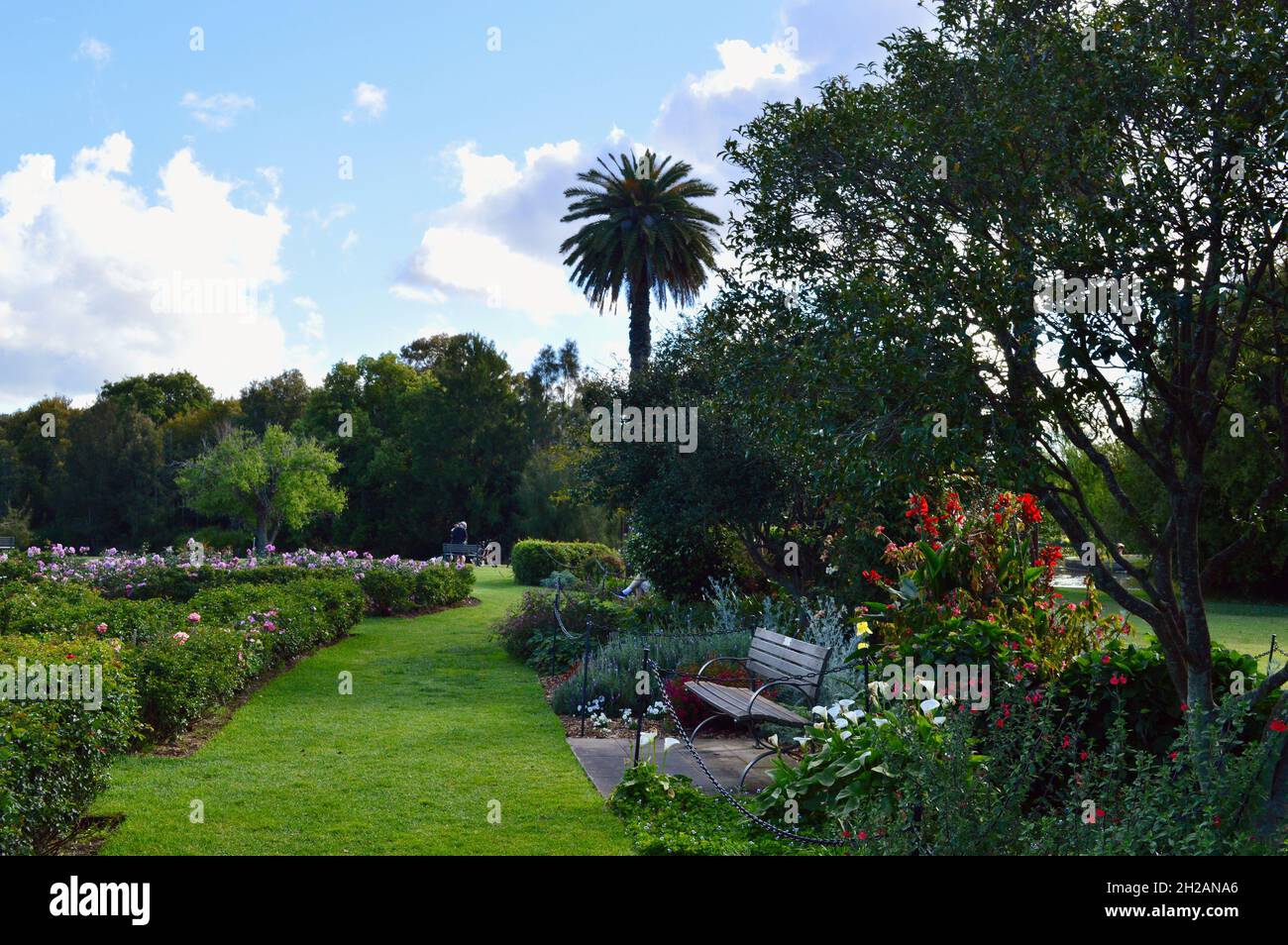 Centennial park sydney hi-res stock photography and images - Alamy