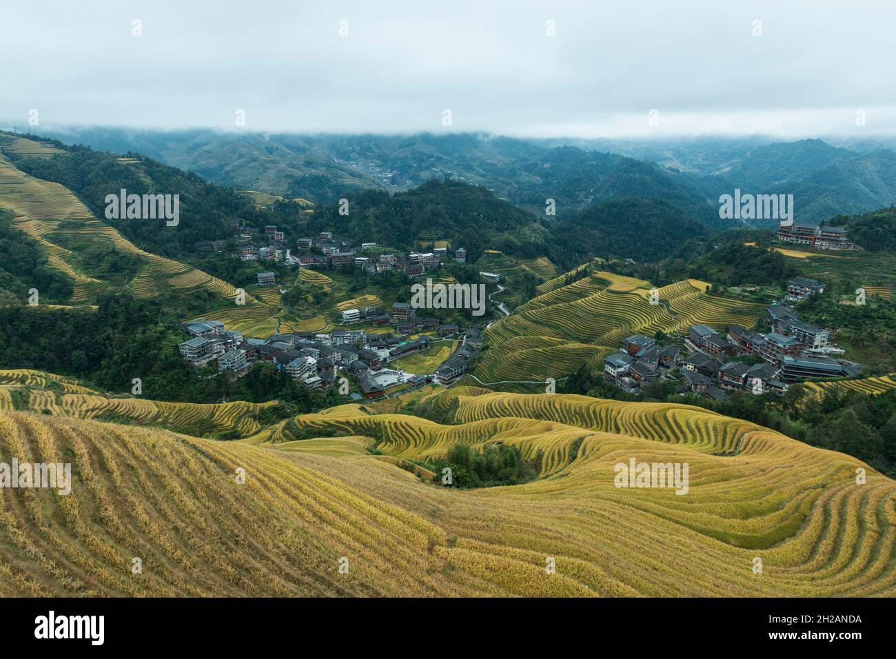 Aerial view of rice fields in Longji, China Stock Photo - Alamy