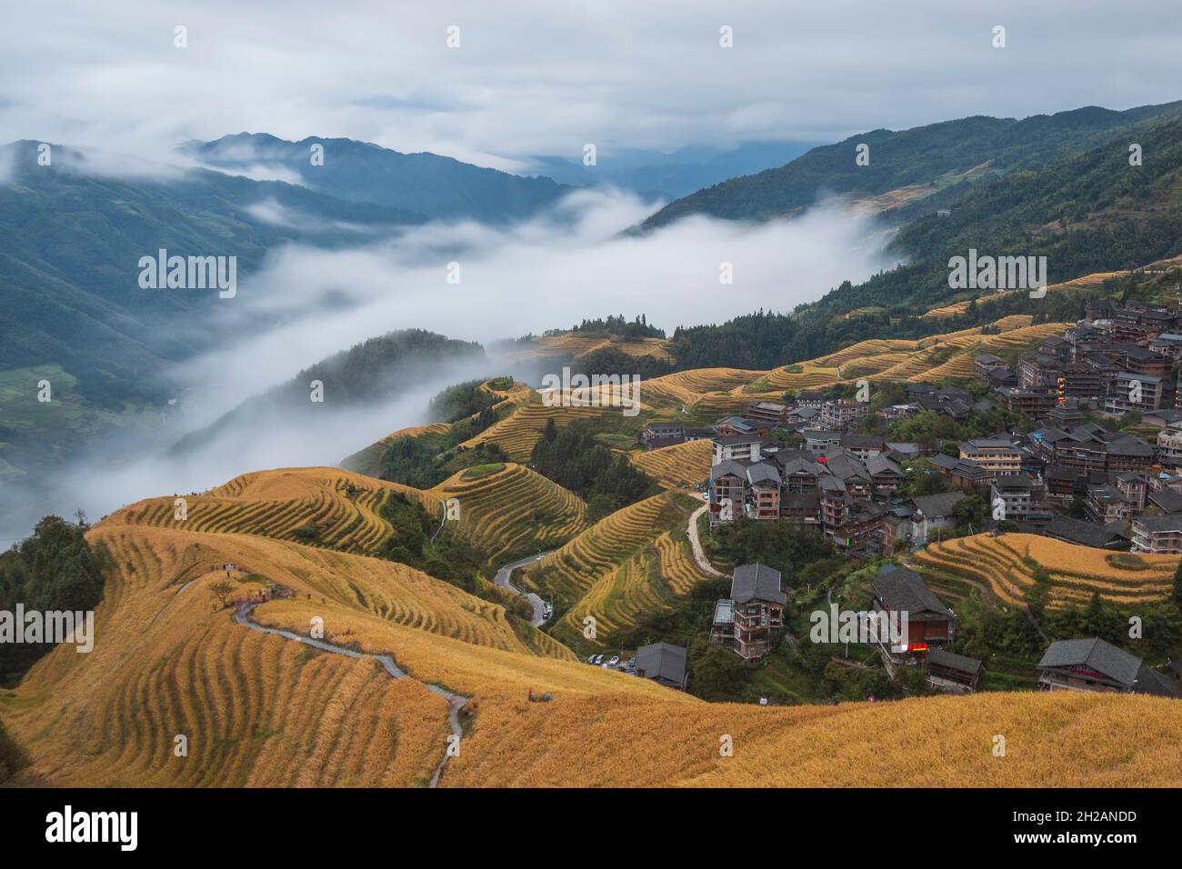 Dragon's back rice terrace in Longji, China Stock Photo - Alamy