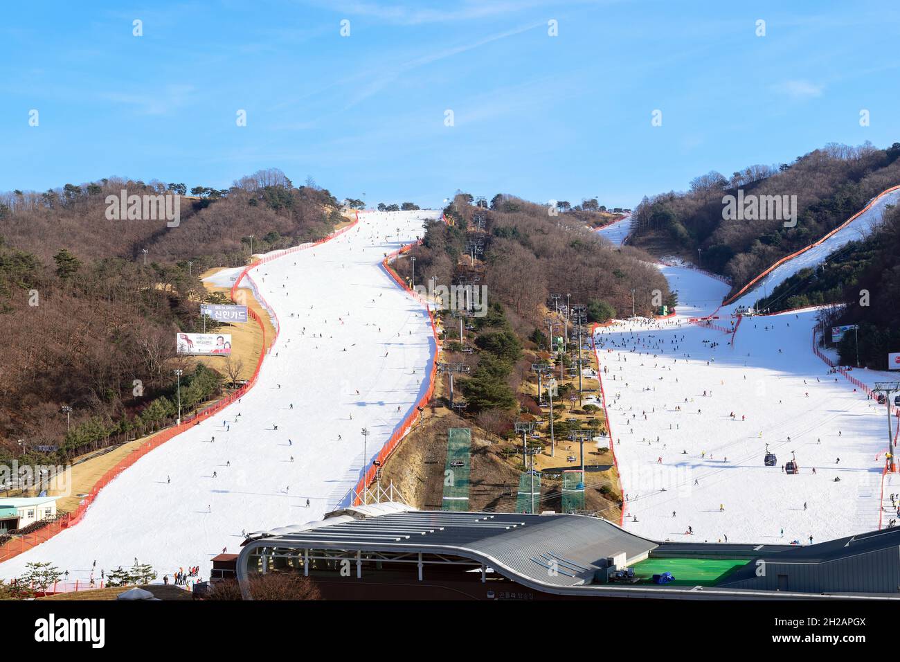 Gangwon-do,Korea-January 4,2016: Daemyung Vivaldi Park ski resorts ...