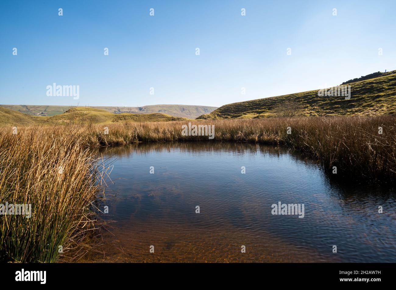 pond view of the sky Stock Photo - Alamy