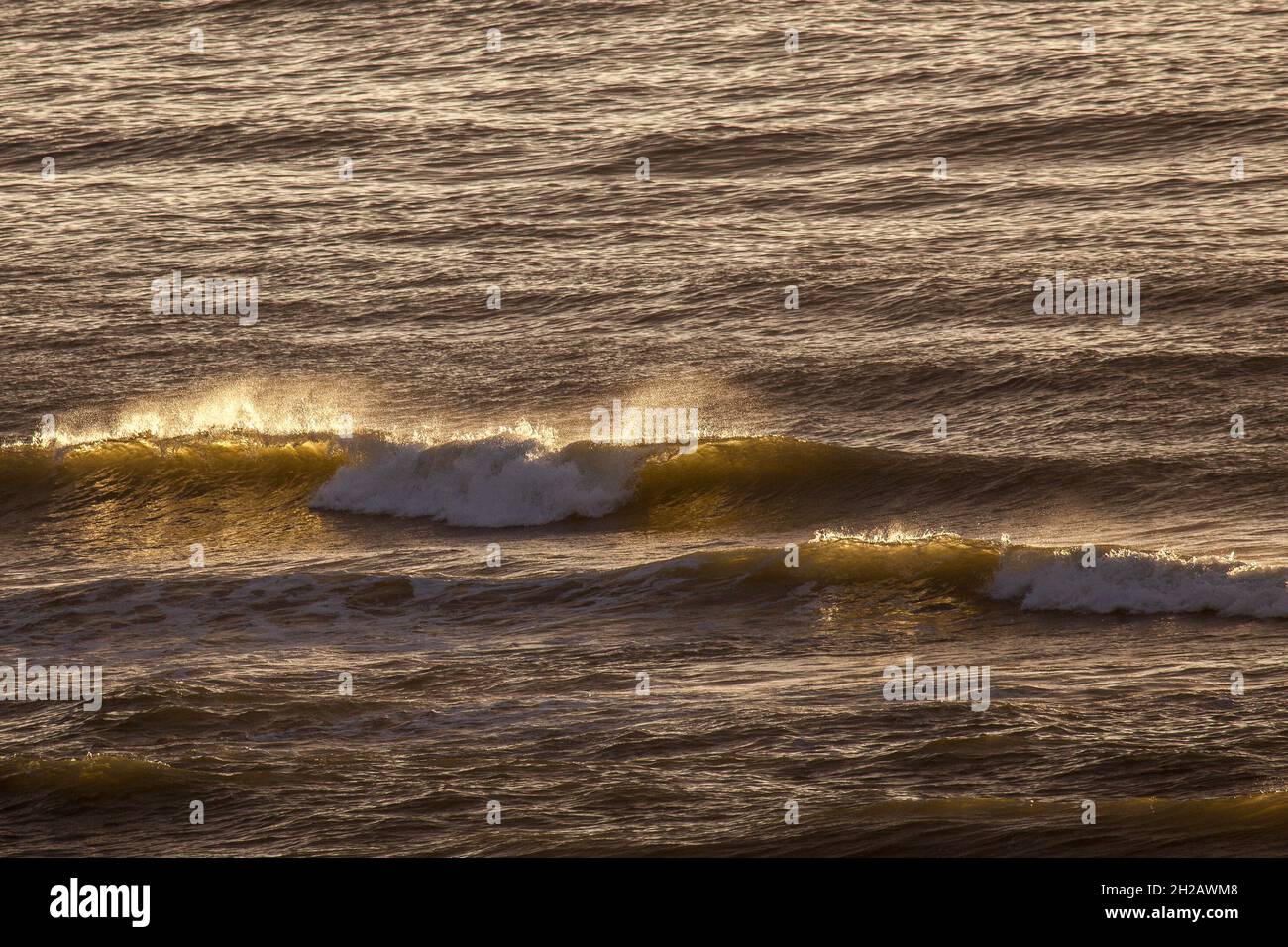 Wave with golden spindrift Stock Photo - Alamy