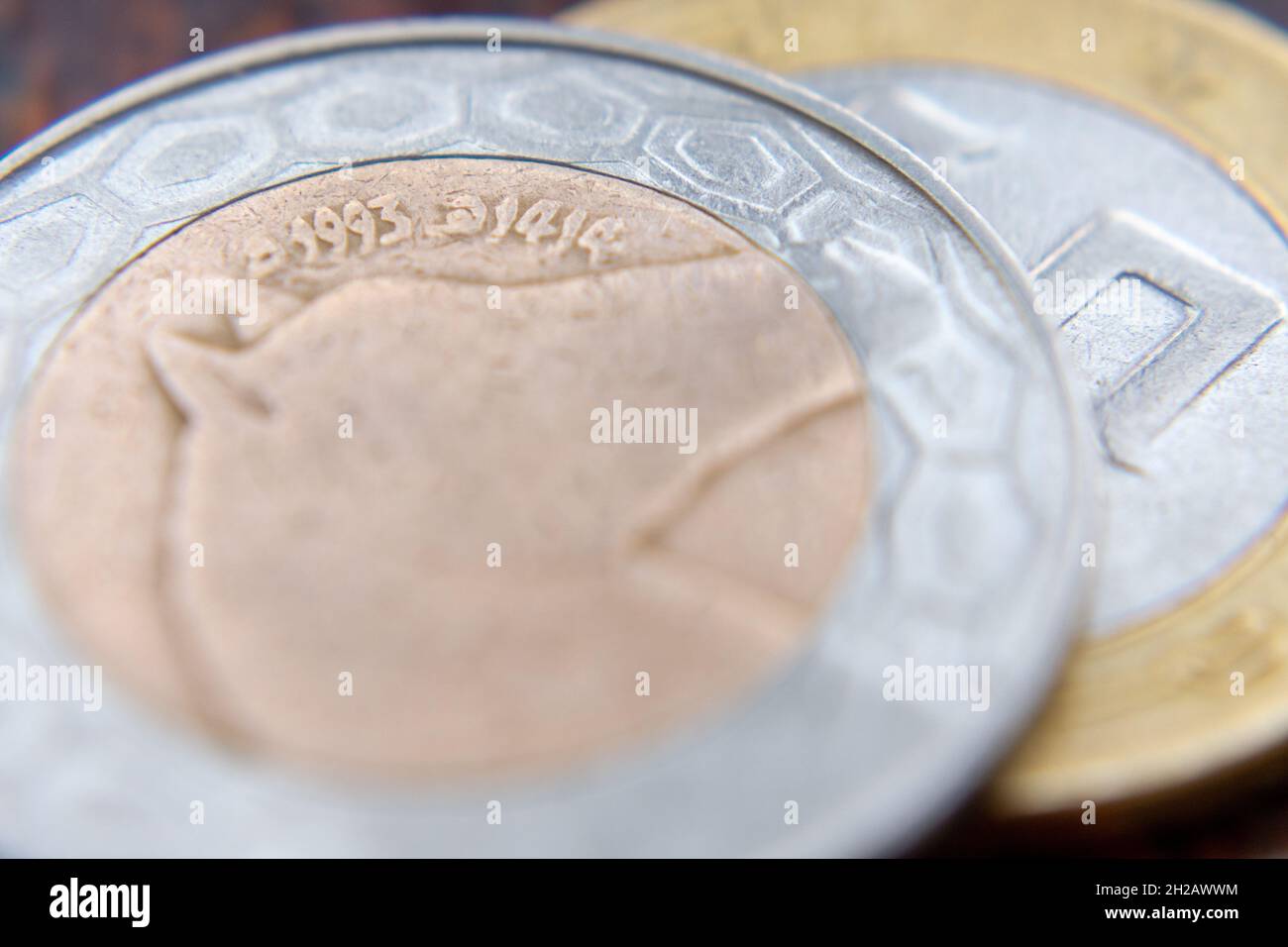 Algeria algerian coin coins money hi-res stock photography and images ...