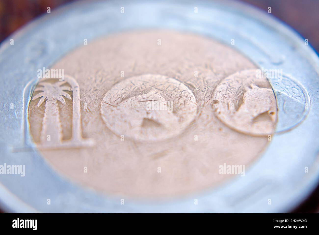 Algerian currency hi-res stock photography and images - Alamy